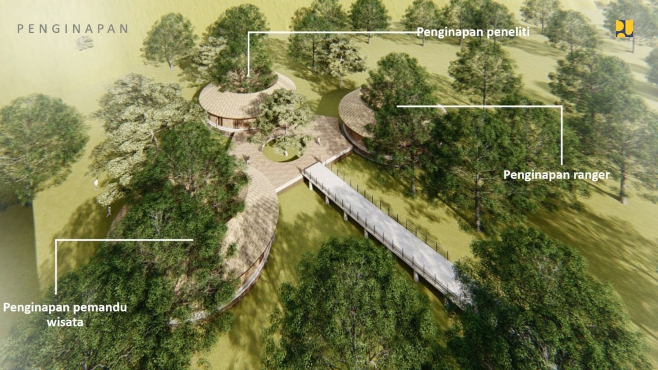 Penataan Kawasan Pulau Rinca, PUPR: Habitat Komodo Tetap Dilindungi ...